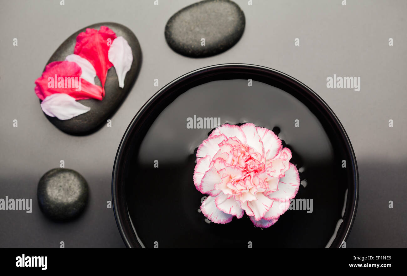 White and pink carnation floating on a bowl withblack stones around it ...