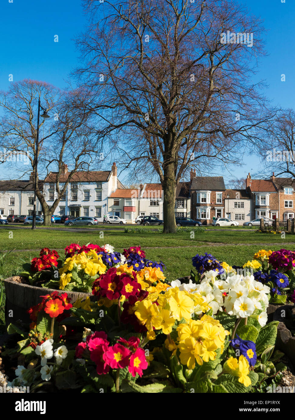 Spring Flowers West Green, Stokesley, North Yorkshire Stock Photo - Alamy