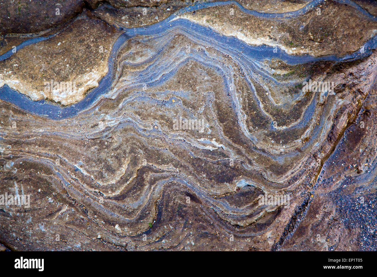 Rock Details Seashore, Staithes, North East, England Stock Photo - Alamy