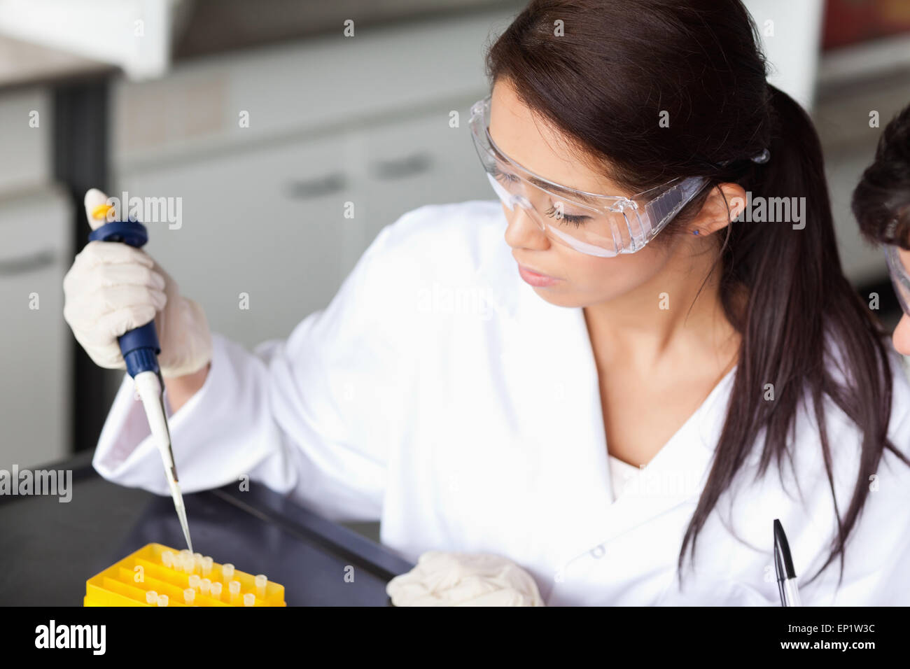 Concentrate scientists making an experiment Stock Photo - Alamy