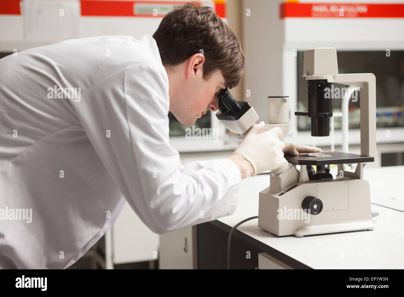 Young science student looking in a microscope Stock Photo - Alamy