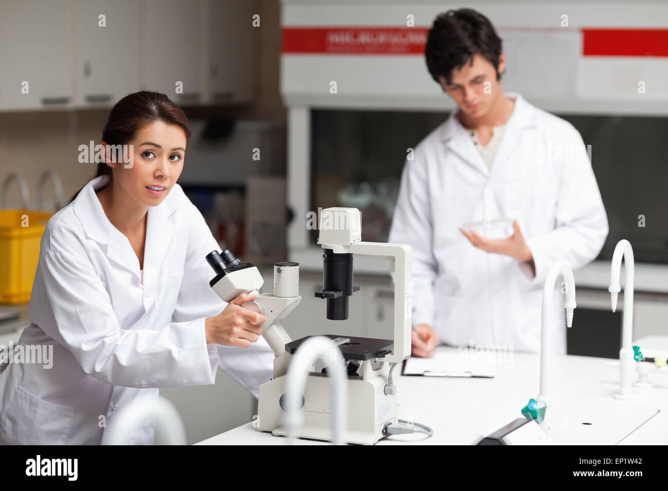 Good looking science students making experiments Stock Photo - Alamy