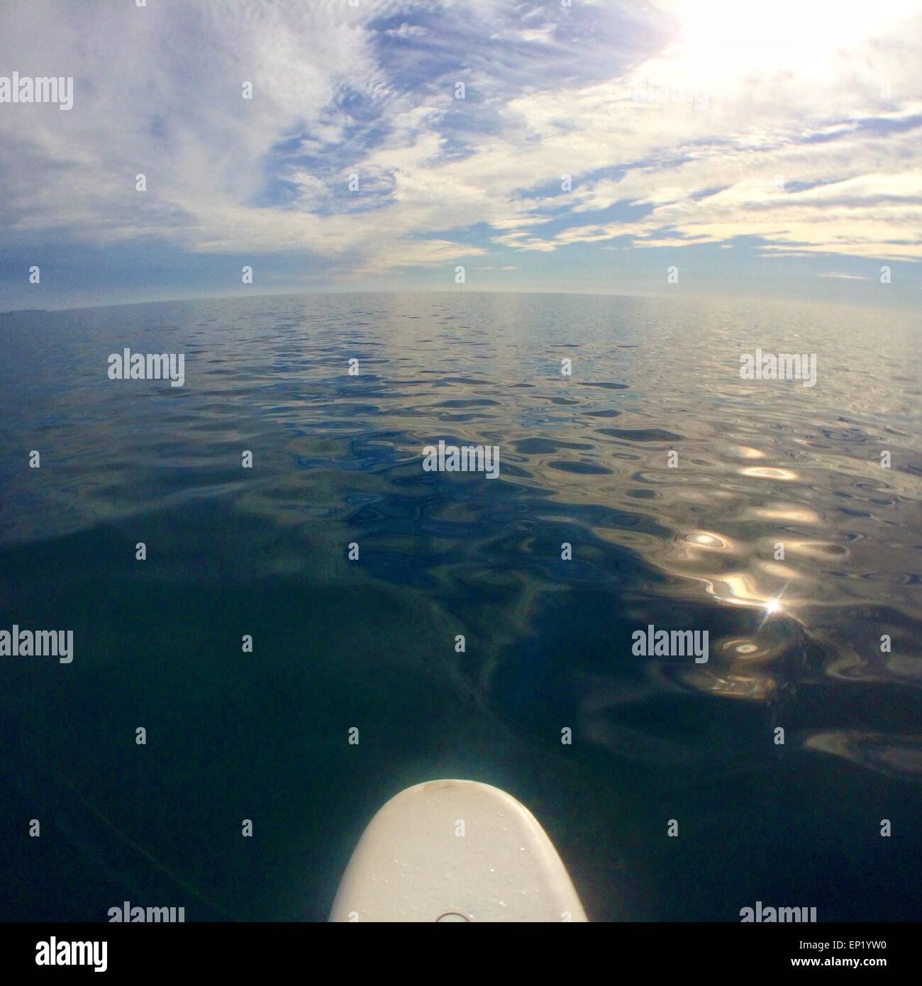 Tip of a surfboard out at sea Stock Photo - Alamy