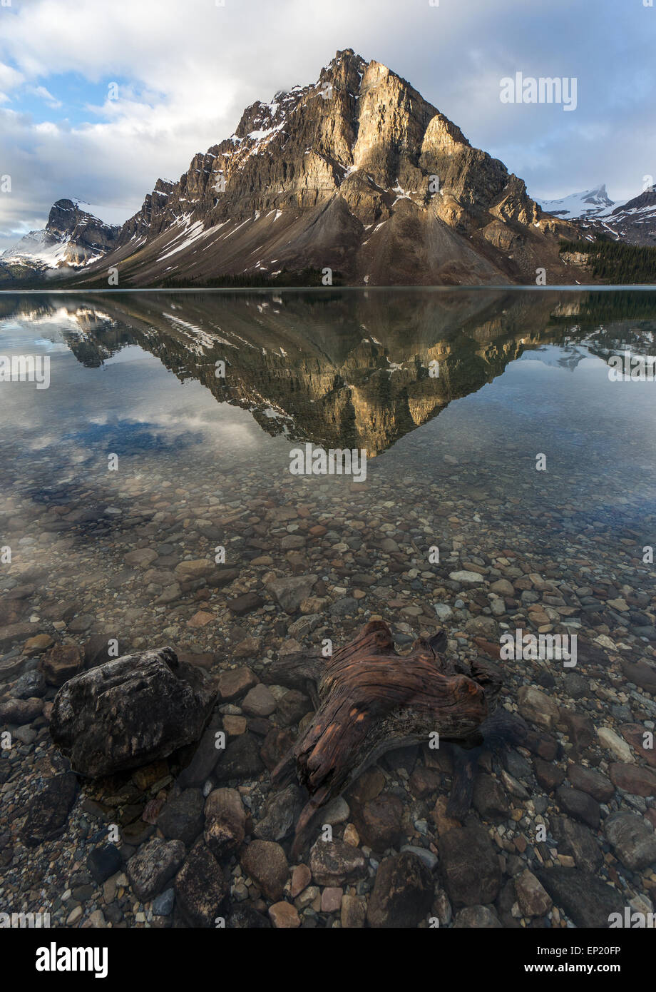 Bow Lake Reflection, Canadian Rockies, Alberta, Canada Stock Photo - Alamy