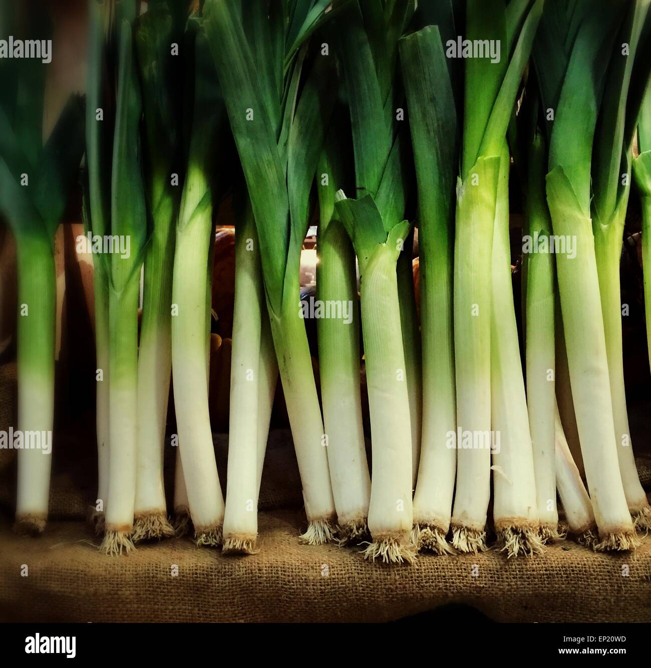 Row of fresh organic green leeks in a farm market stall Stock Photo - Alamy