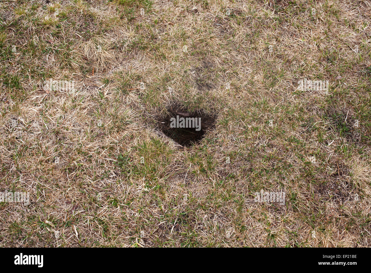 Hole in a grass field Stock Photo - Alamy