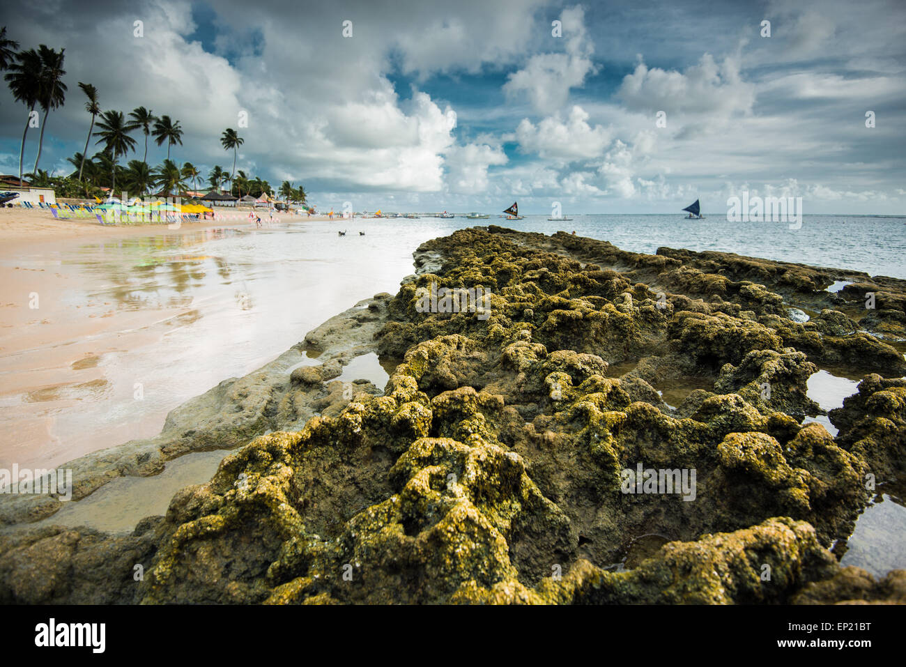 Beach at Port de Galinhas, Pernambuco, Brazil Stock Photo - Alamy