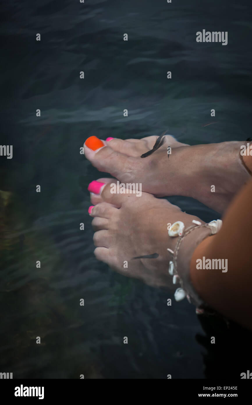 Fish therapy hi-res stock photography and images - Alamy