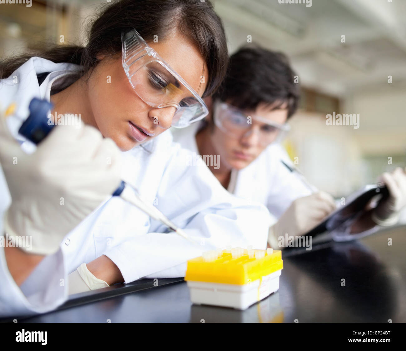 Serious young scientists working Stock Photo - Alamy