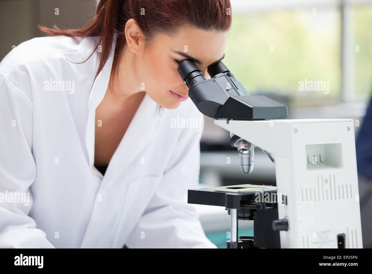 Scientist looking into a microscope Stock Photo - Alamy