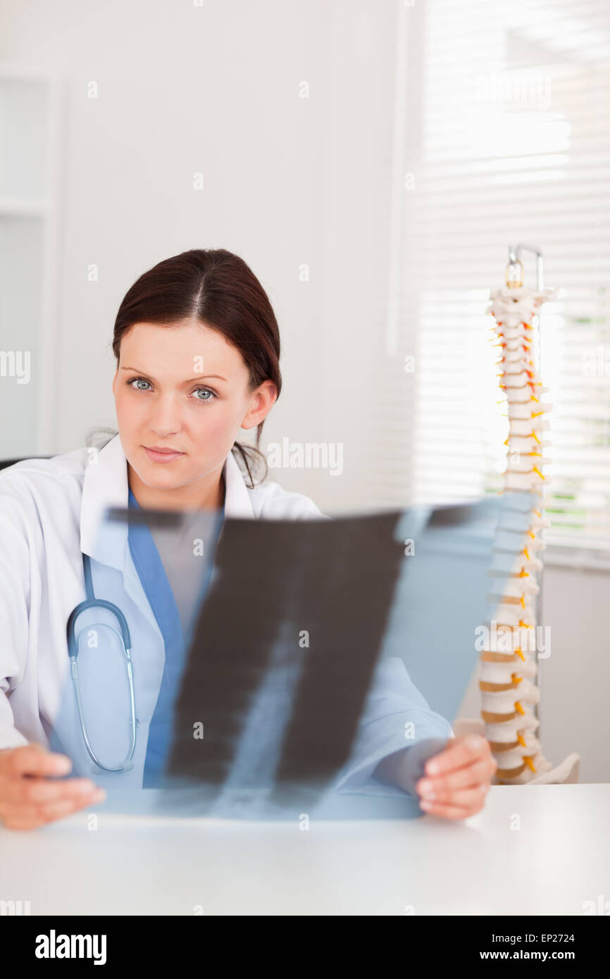 Female doctor holding x-ray Stock Photo - Alamy