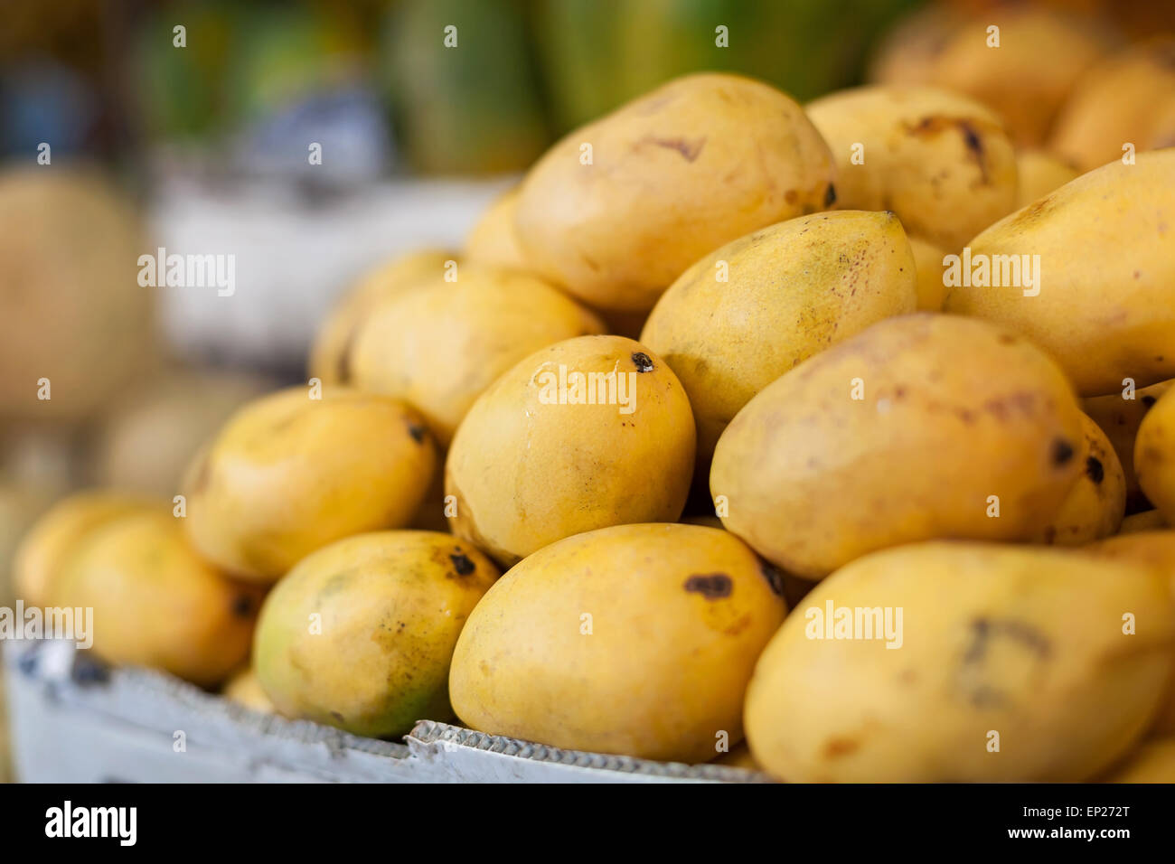 Shallow dept hi-res stock photography and images - Alamy