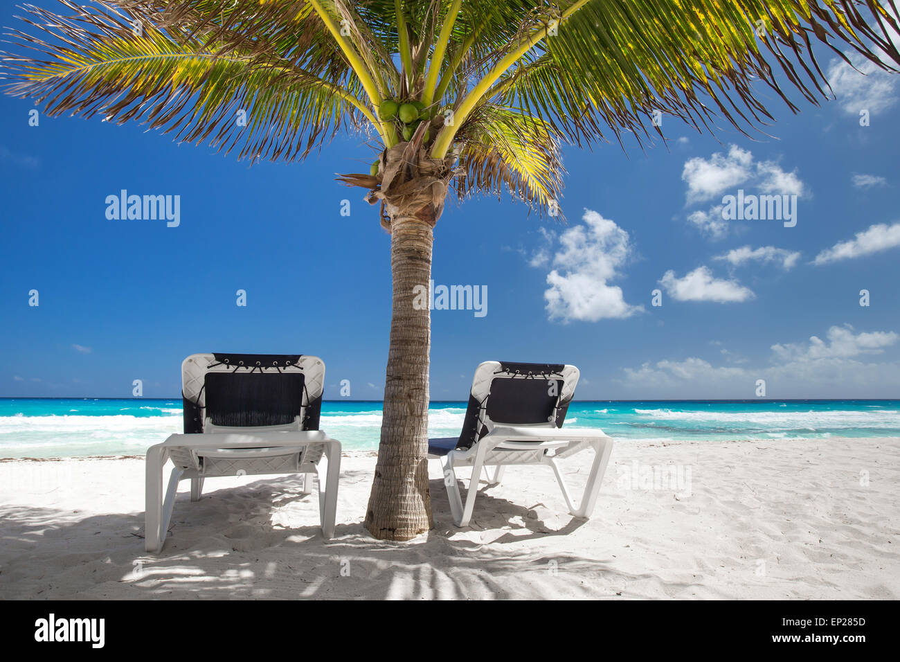 Two beach beds under palm tree on caribbean beachfront Stock Photo - Alamy