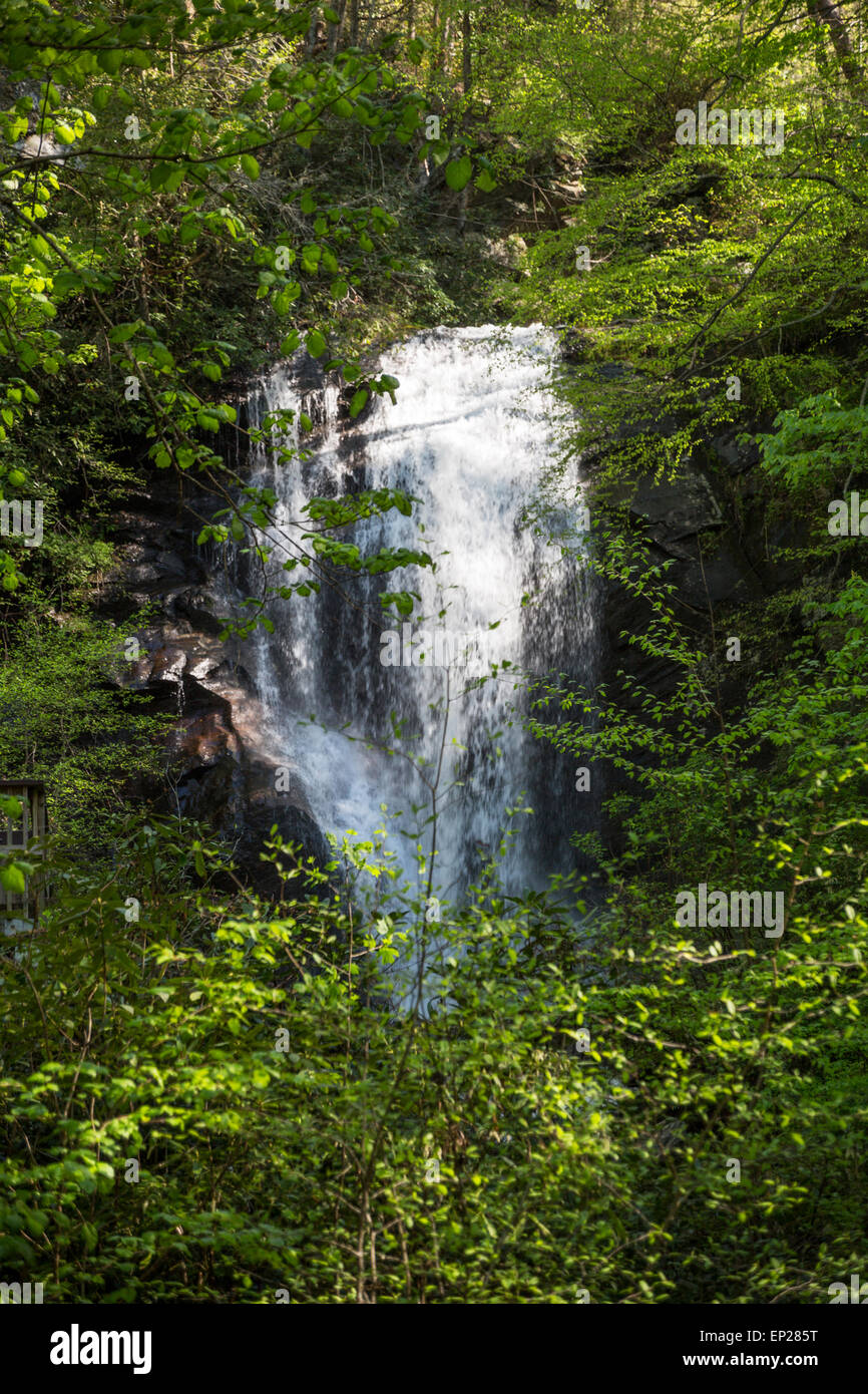 Anna Ruby Falls, Chattahoochee-Oconee National Forest, Georgia, USA ...