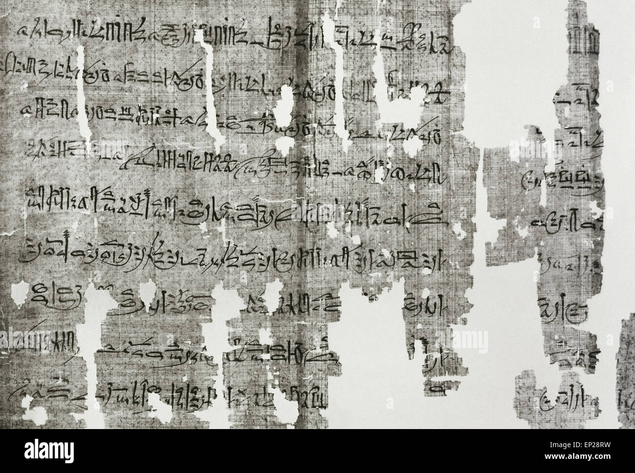 Hieratic papyrus. Cursive writing system, used in Ancient Egypt ...