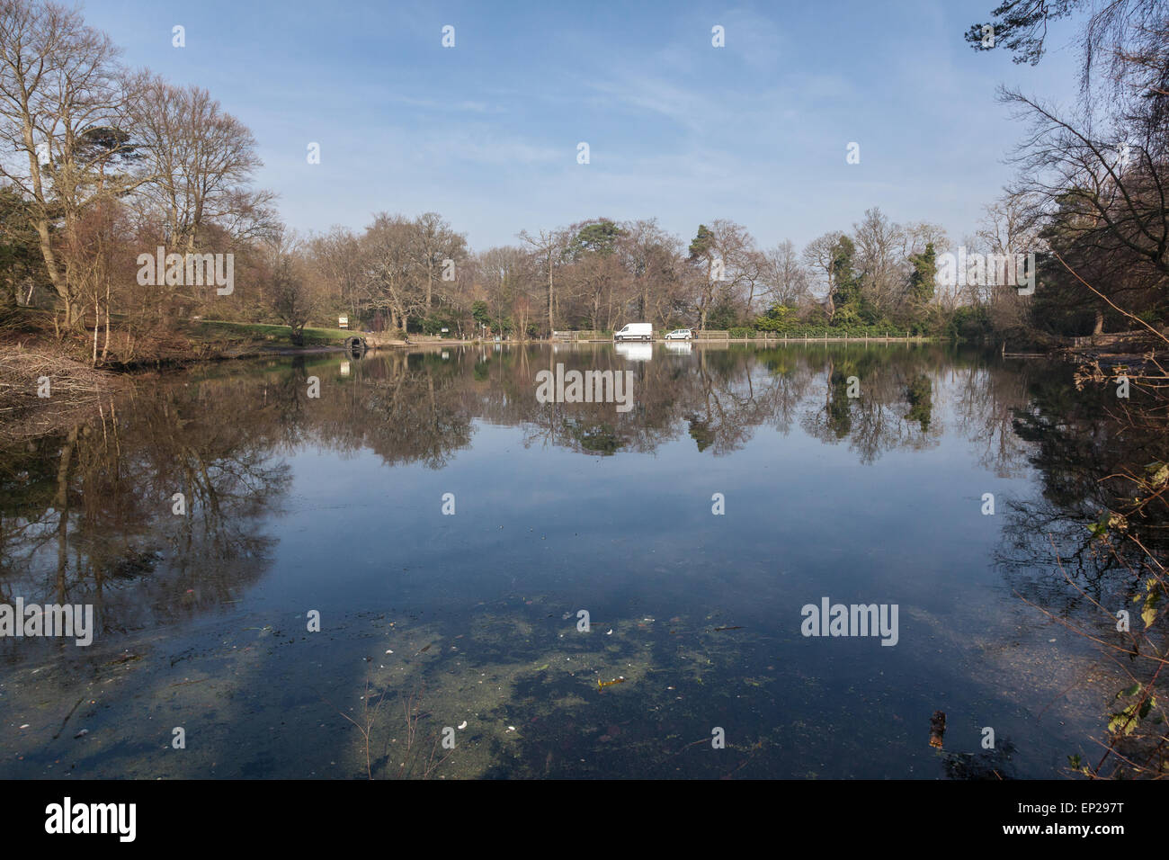 Keston ponds hi-res stock photography and images - Alamy