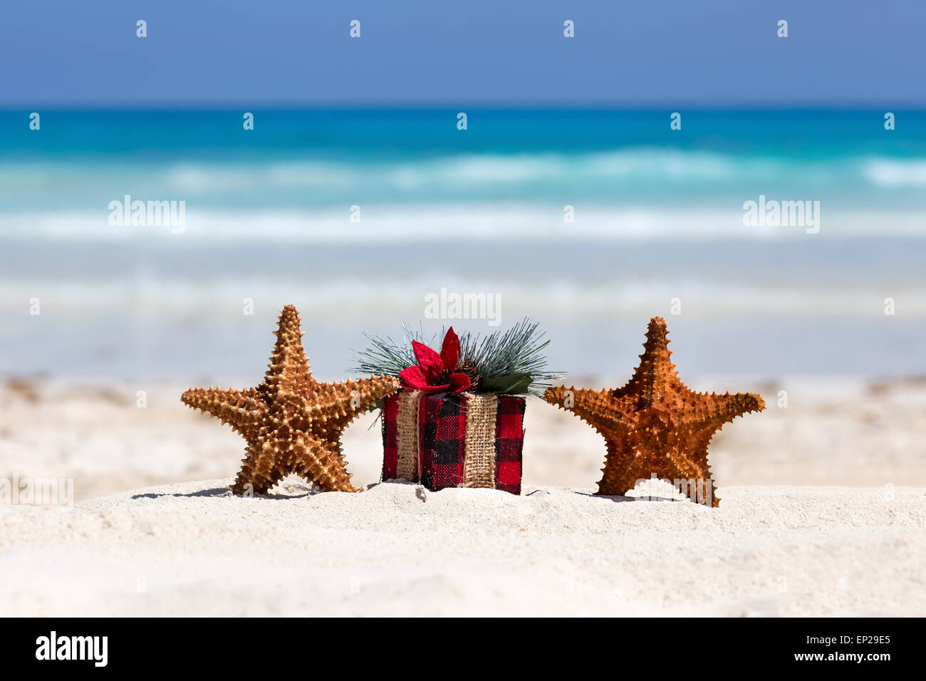 Celebrate at sea hi-res stock photography and images - Alamy