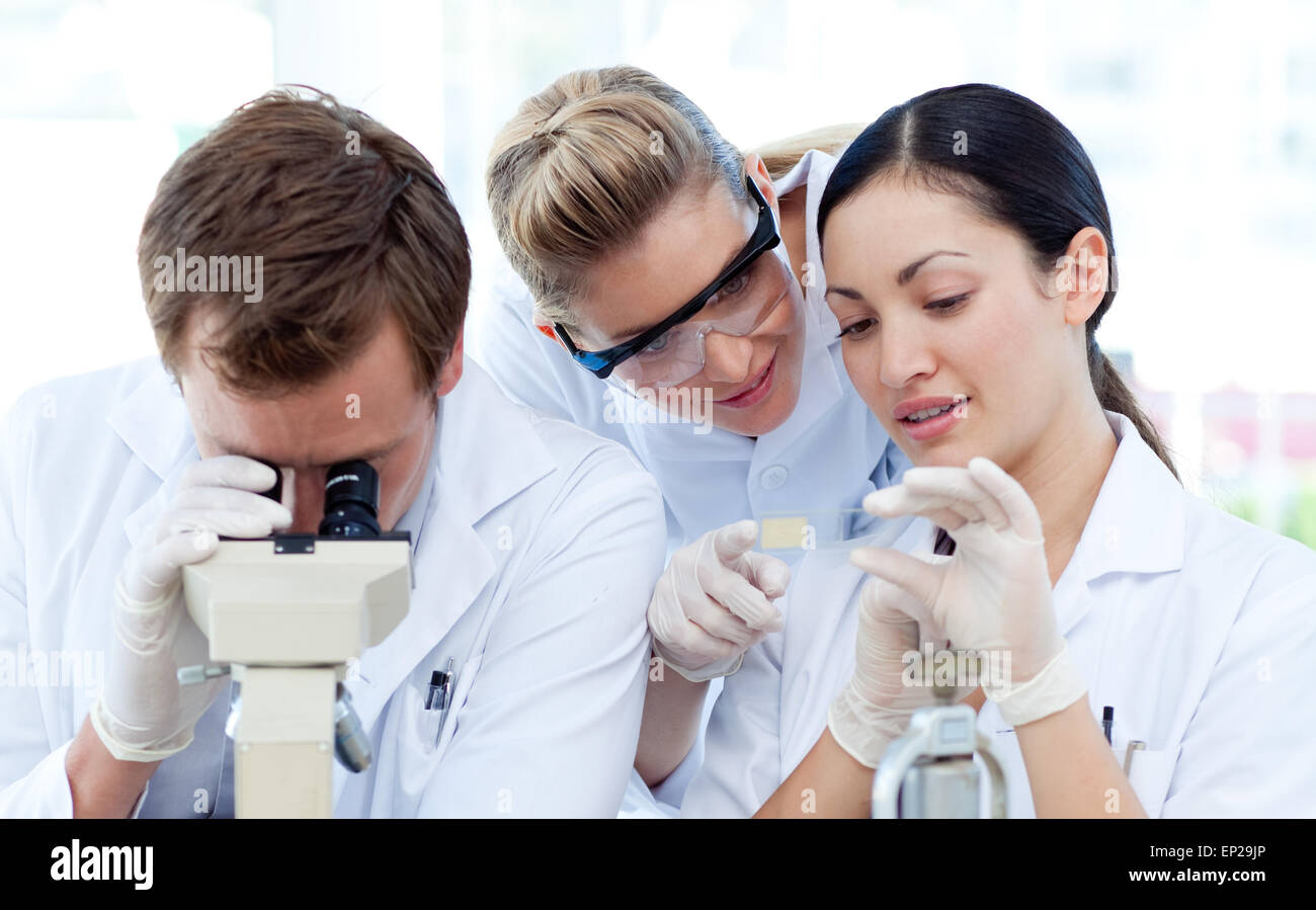 People looking under a microscope Stock Photo - Alamy