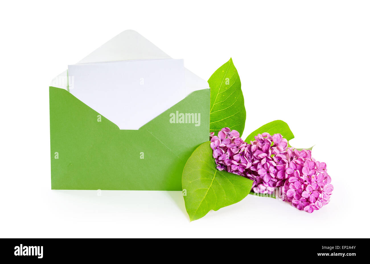 Blank card on violet Cut Out Stock Images & Pictures - Alamy