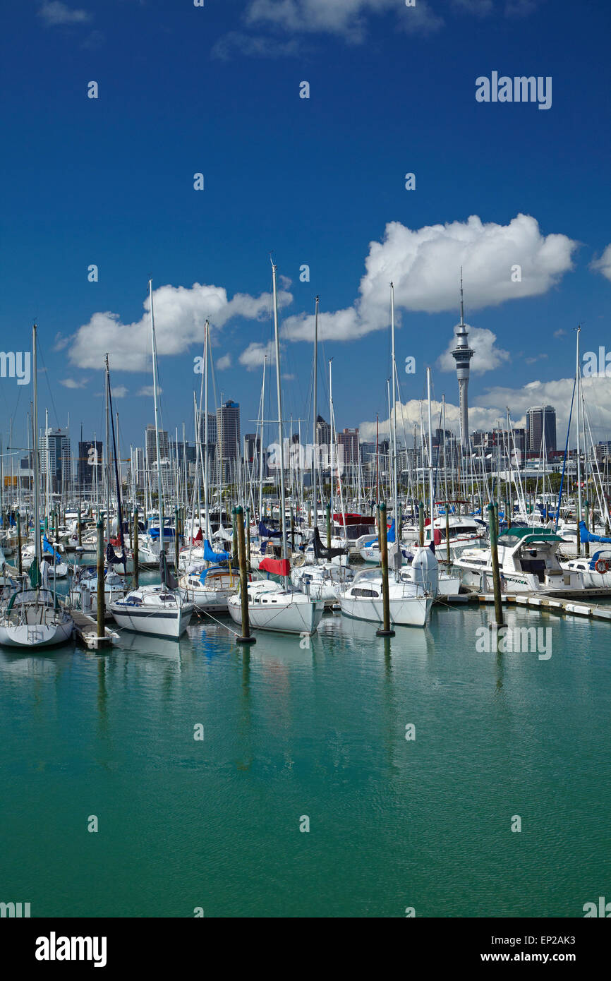 Westhaven Marina, and Sky Tower, Auckland, North Island, New Zealand ...