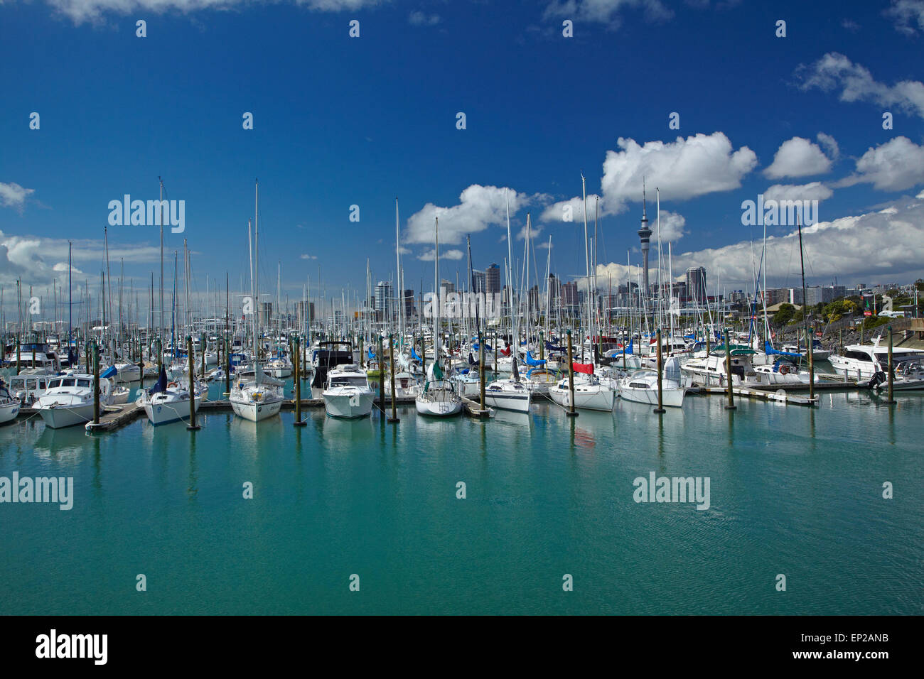 Westhaven Marina, Auckland, North Island, New Zealand Stock Photo - Alamy