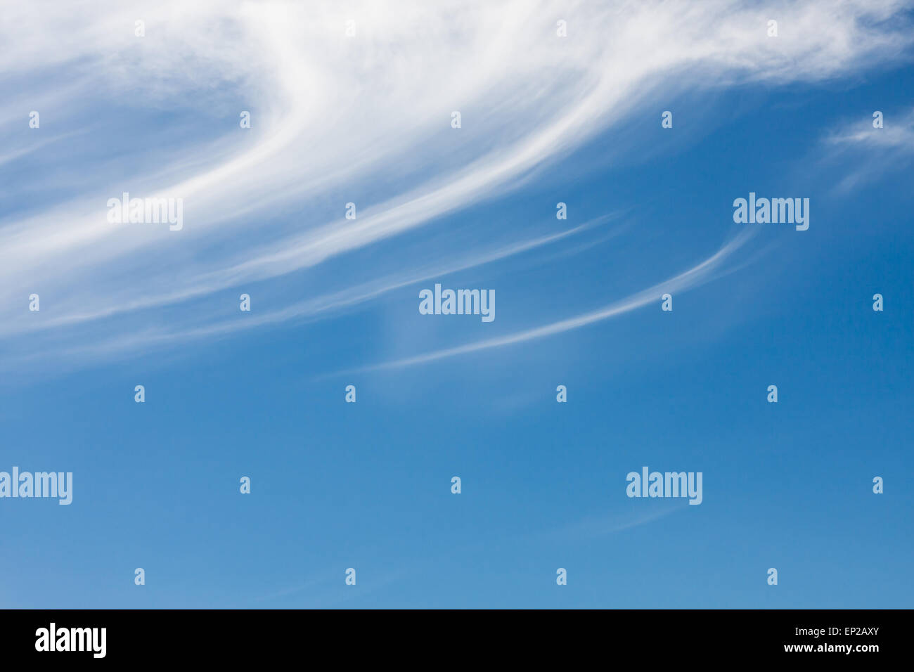 Detail of cirrus cloud Stock Photo - Alamy
