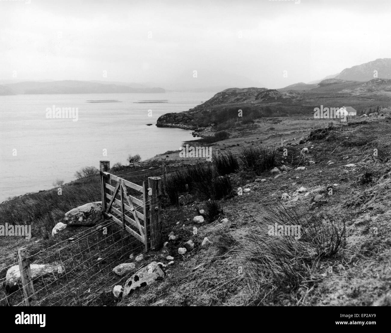 Super images Black and White Stock Photos & Images - Alamy