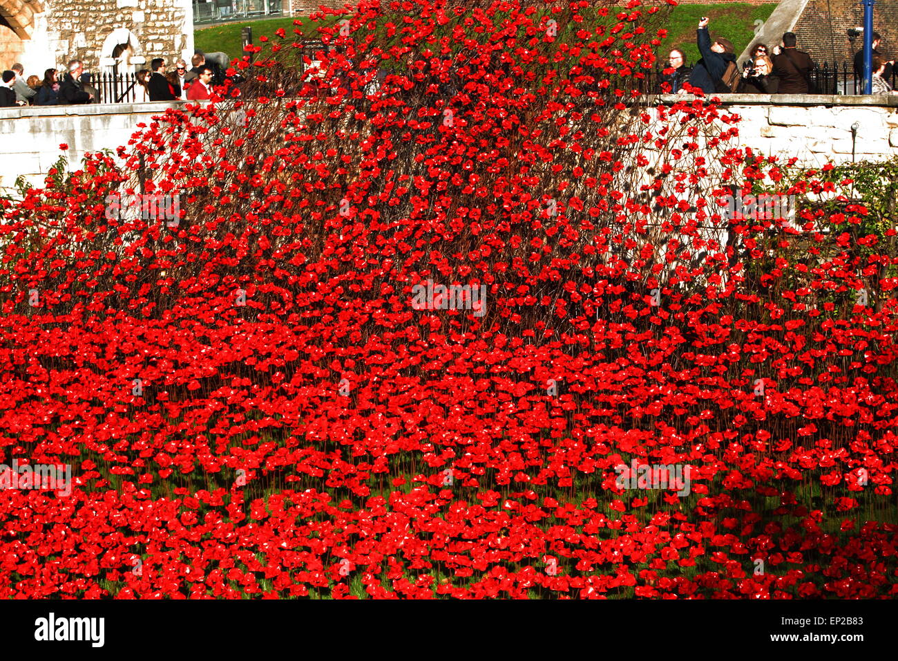 Red poppies commemorating the War dead of World War 1 at the Tower of ...