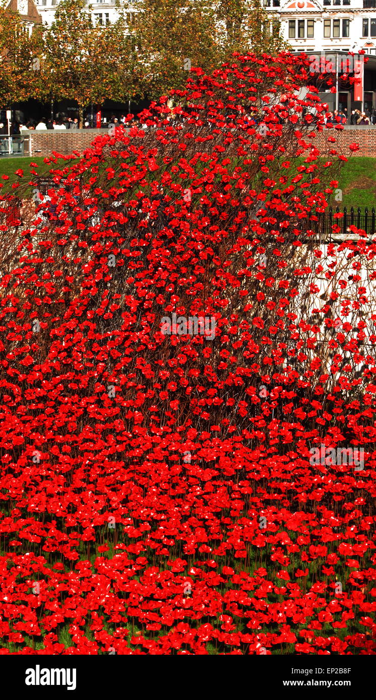 Red poppies commemorating the War dead of World War 1 at the Tower of ...