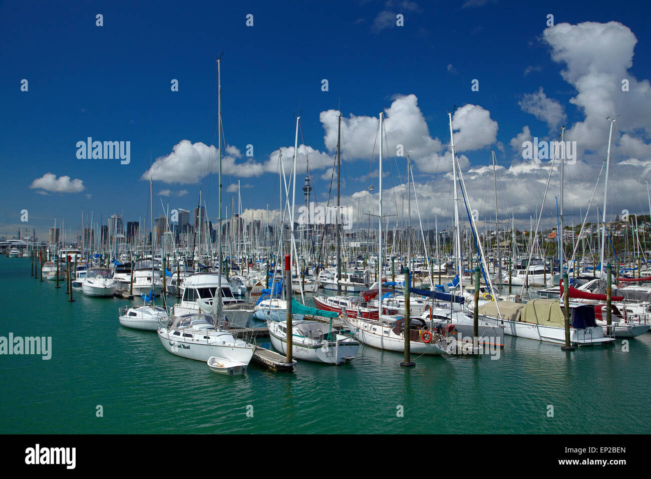 Westhaven Marina, Auckland, North Island, New Zealand Stock Photo - Alamy
