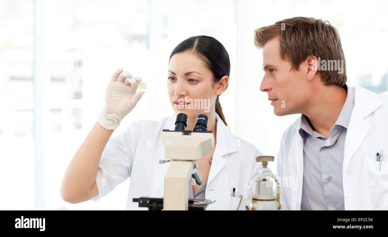 Women students working in computer lab hi-res stock photography and ...