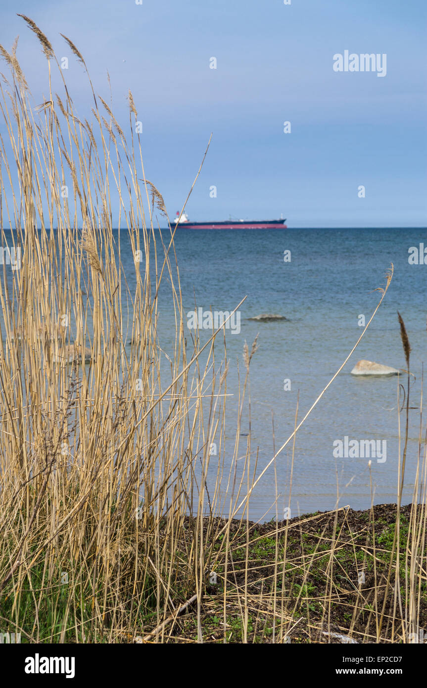 Sea sedge hi-res stock photography and images - Alamy