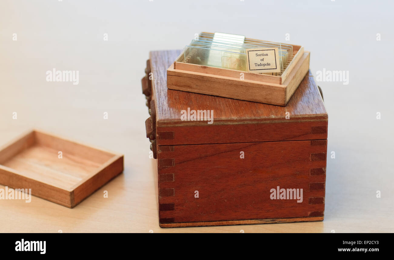 Braun box with medicine utensils Stock Photo - Alamy