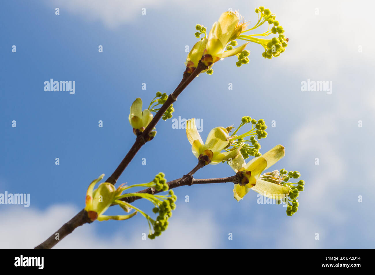 Sunlight bright hi-res stock photography and images - Alamy