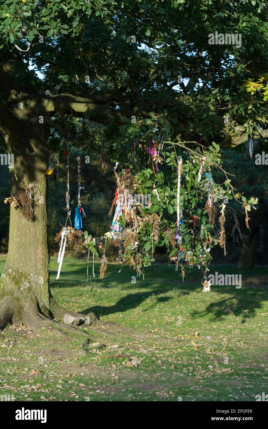 The ancient wishing tree hi-res stock photography and images - Alamy