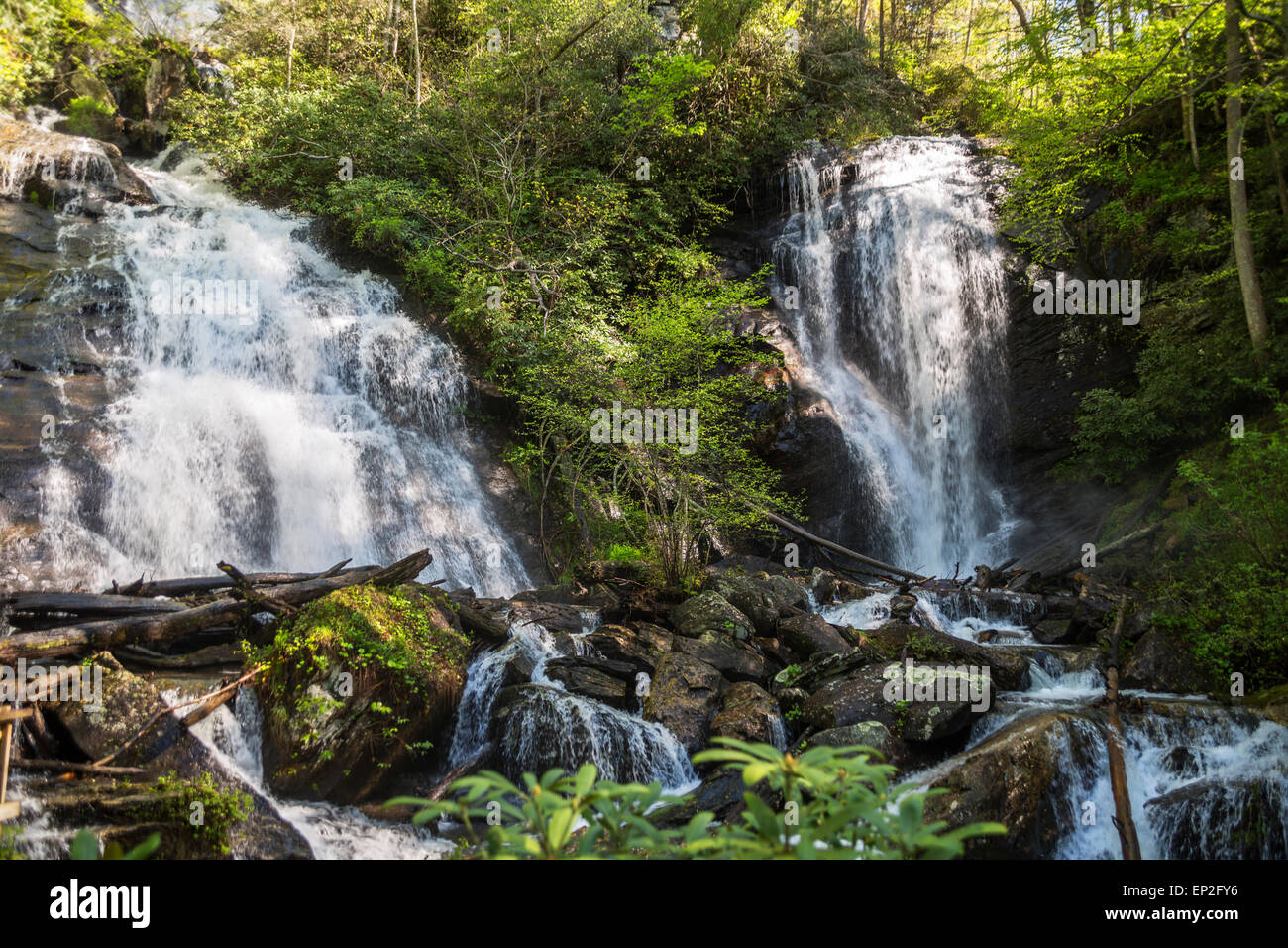 Anna Ruby Falls, Chattahoochee-Oconee National Forest, Georgia, USA ...