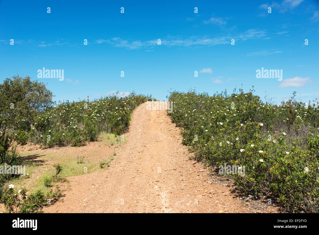 walking path in portugal algarve Stock Photo - Alamy