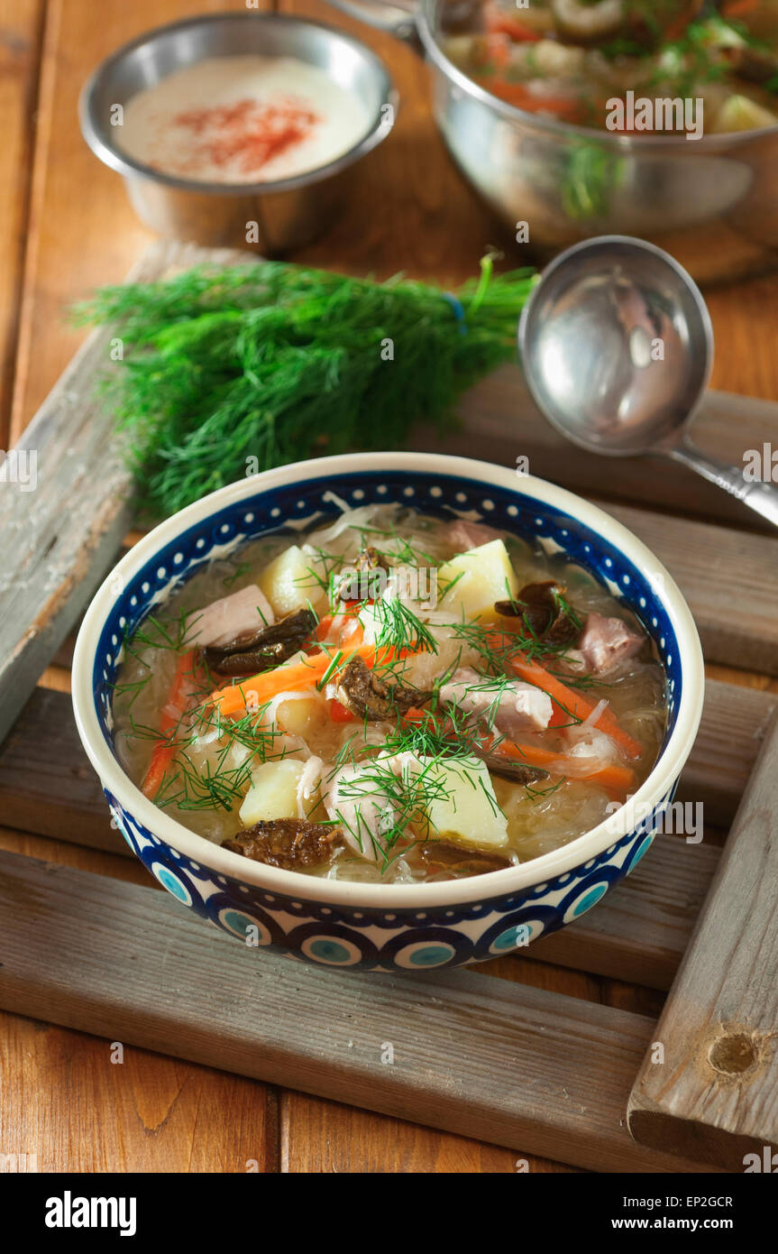 Shchi. Russian cabbage soup Stock Photo - Alamy