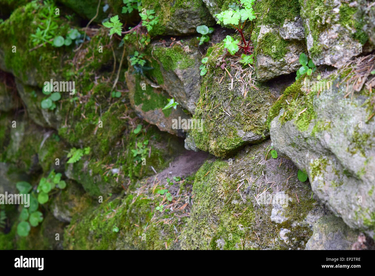 The beauty of a stone wall Stock Photo - Alamy