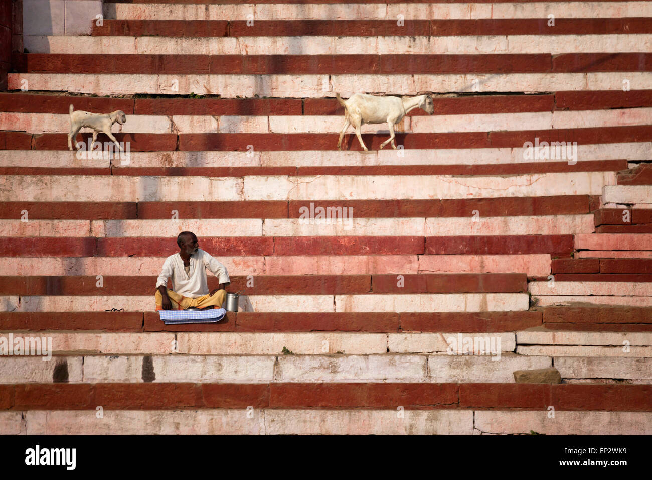 Goats by boat hi-res stock photography and images - Alamy