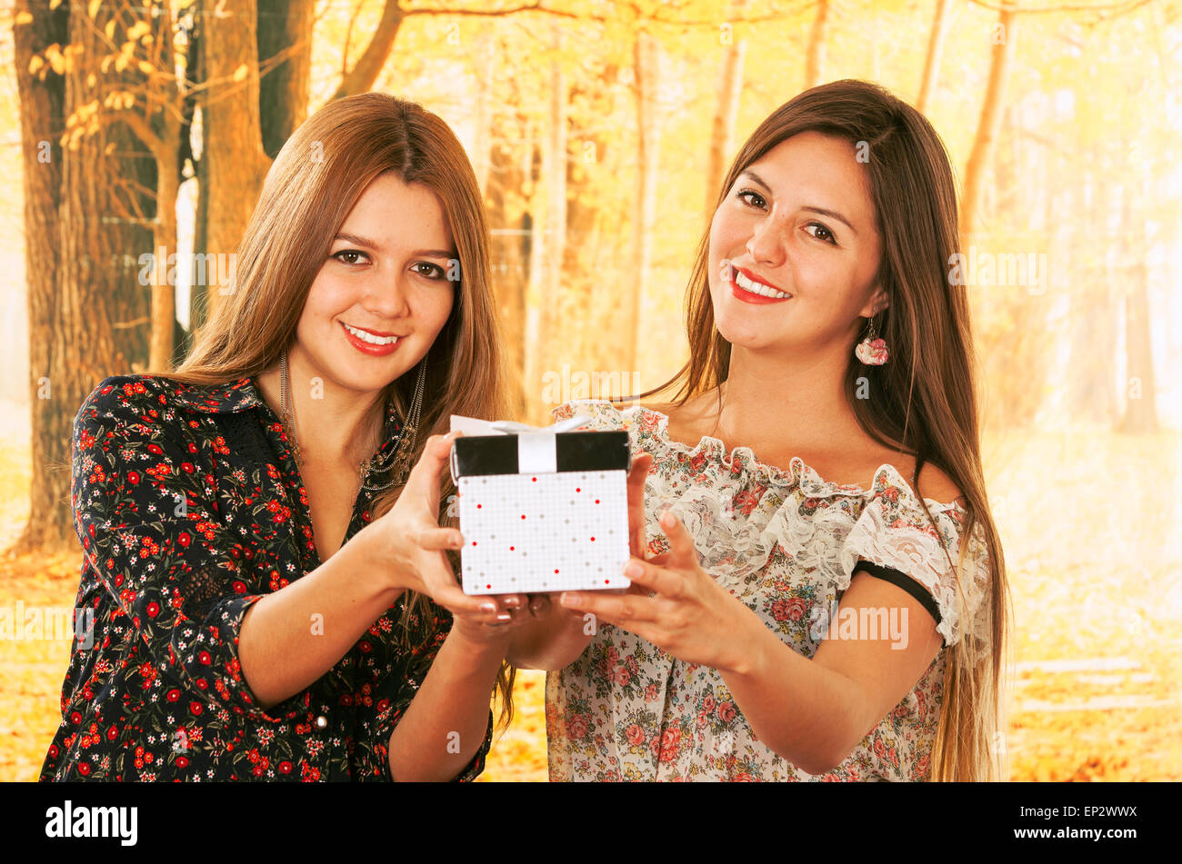 Two beautiful young girls with a gift box Stock Photo - Alamy