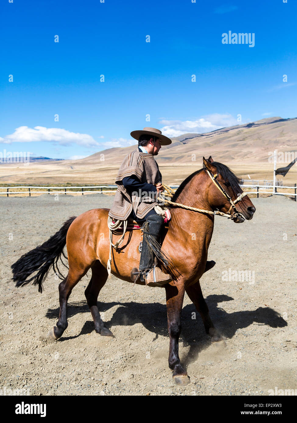 Gaucho shepherd horse chile hi-res stock photography and images - Alamy