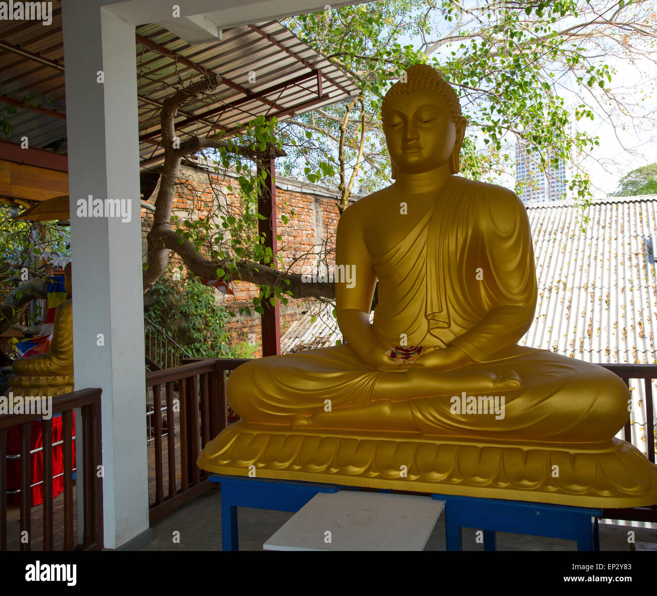 Large golden Buddha statue, Gangaramaya Buddhist Temple, Colombo, Sri ...
