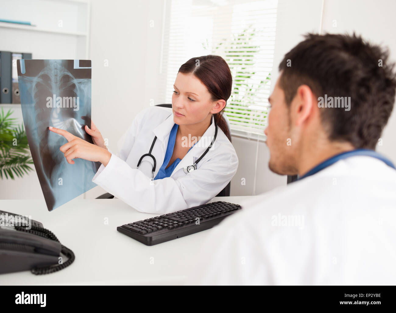 Female doctor showing x-ray to doctor Stock Photo - Alamy