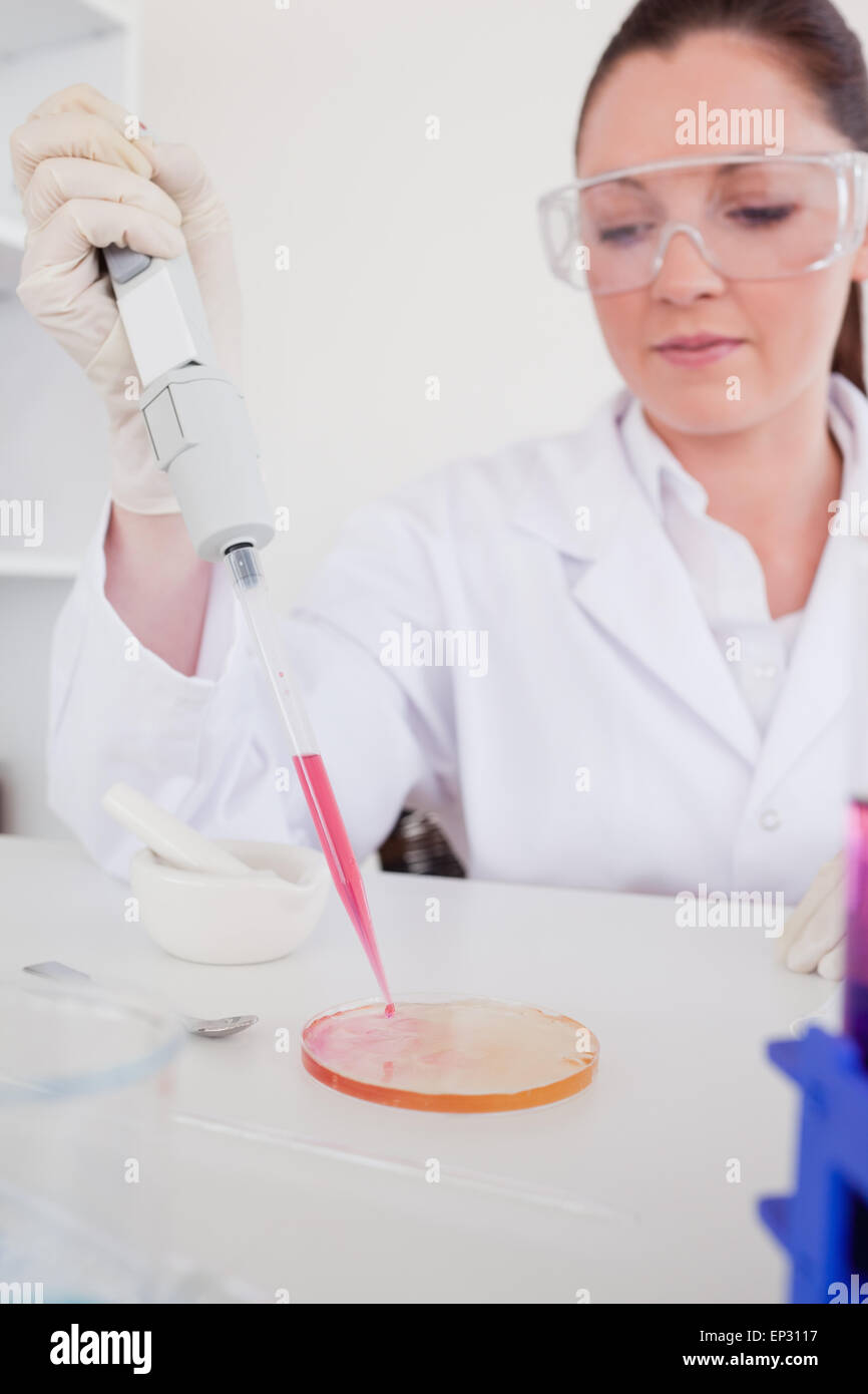 Using a micropipette hi-res stock photography and images - Alamy