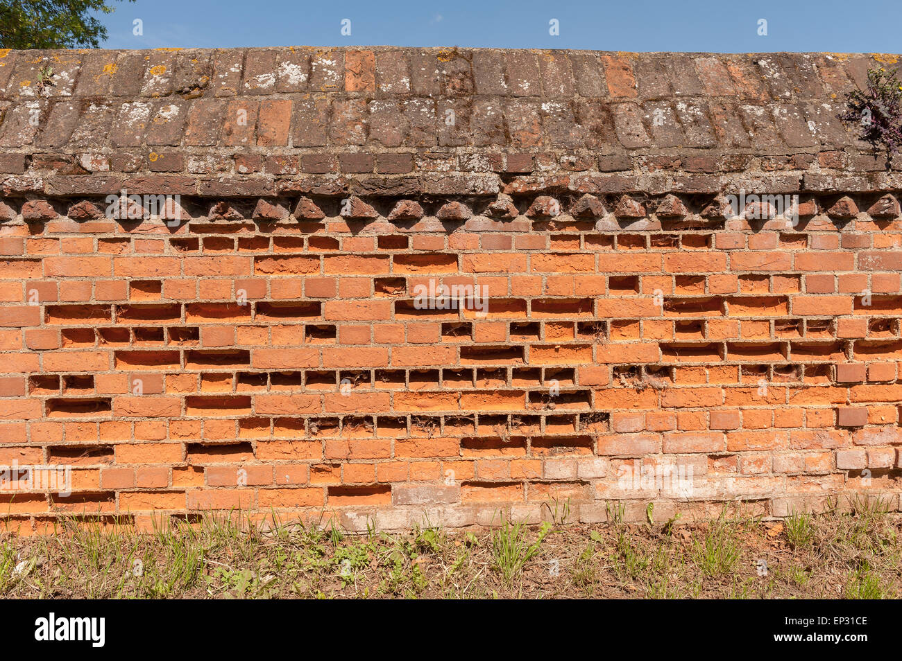 Bad preservation or conservation the repair cement is too hard and ...