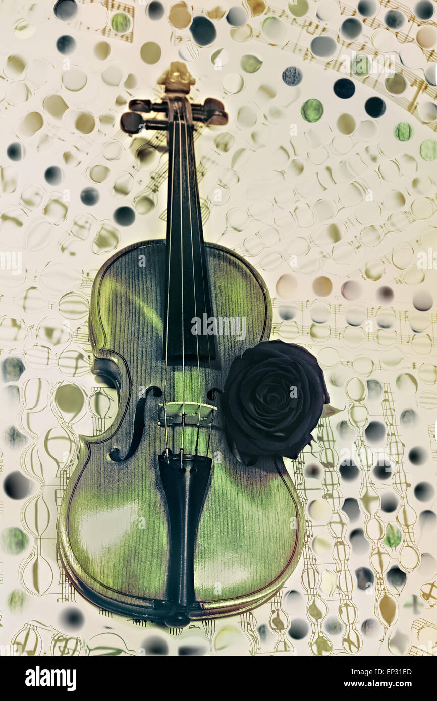 Violin music instrument rose hi-res stock photography and images - Alamy