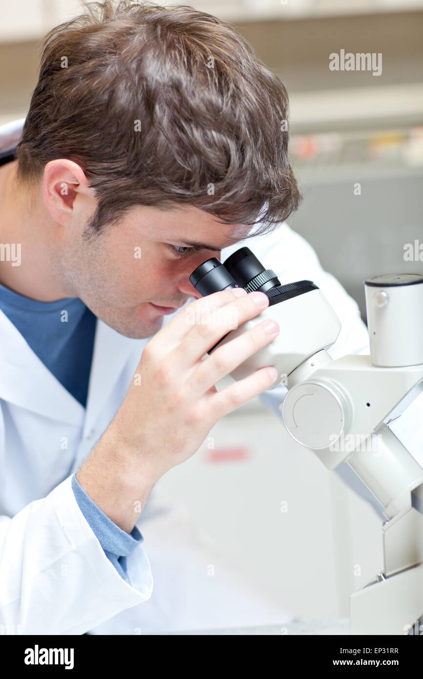 Serious male scientist looking through a microscope Stock Photo - Alamy