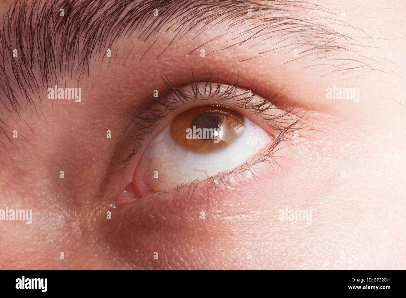 Beautiful human eye contact lens hi-res stock photography and images ...