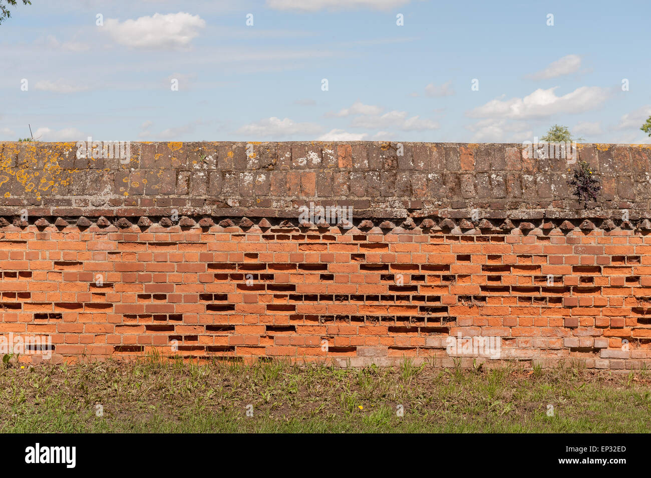 Bad preservation or conservation the repair cement is too hard and ...